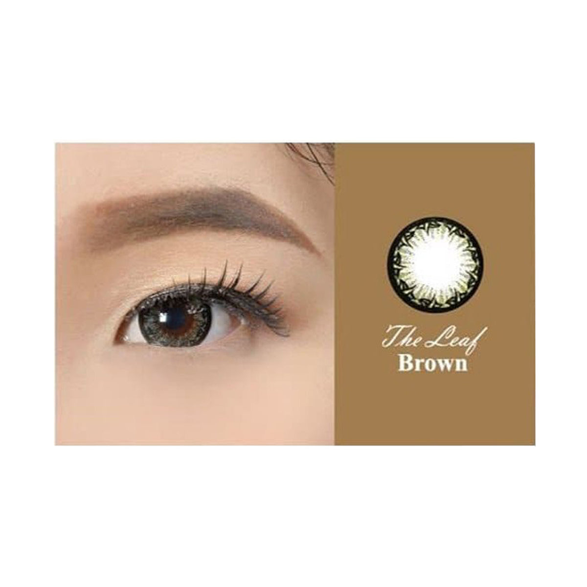Colorpia The Leaf Monthly Disposable Contact Lenses | Des Optics ...